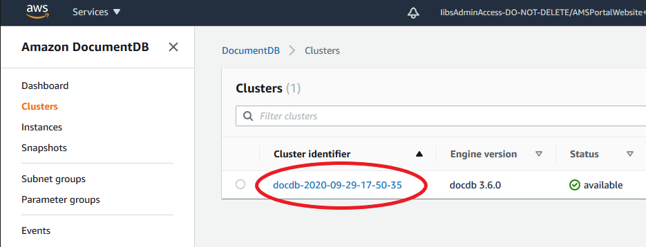 Connect Using Amazon EC2 - Amazon DocumentDB