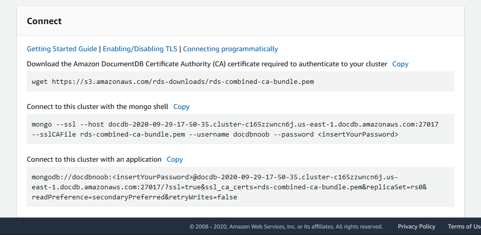 Connect Using Amazon EC2 - Amazon DocumentDB