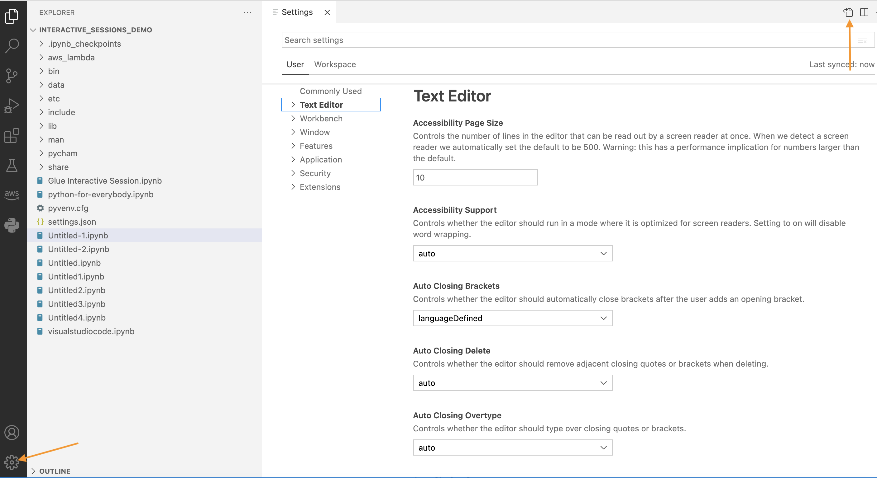 Using Interactive Sessions With Microsoft Visual Studio Code AWS Glue